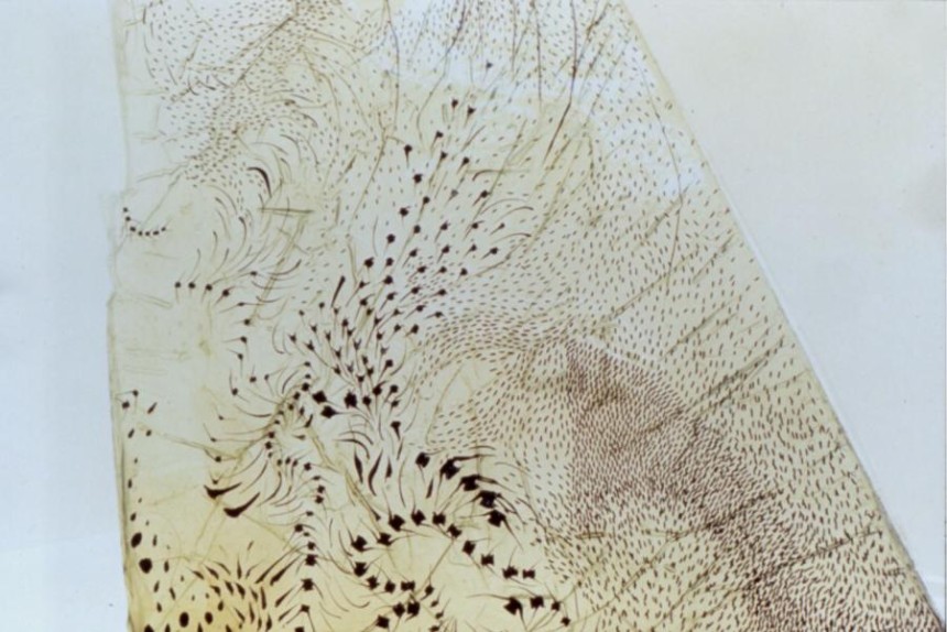 Antique & Reclaimed Sculptures by suki chan- SalvoWEB UK