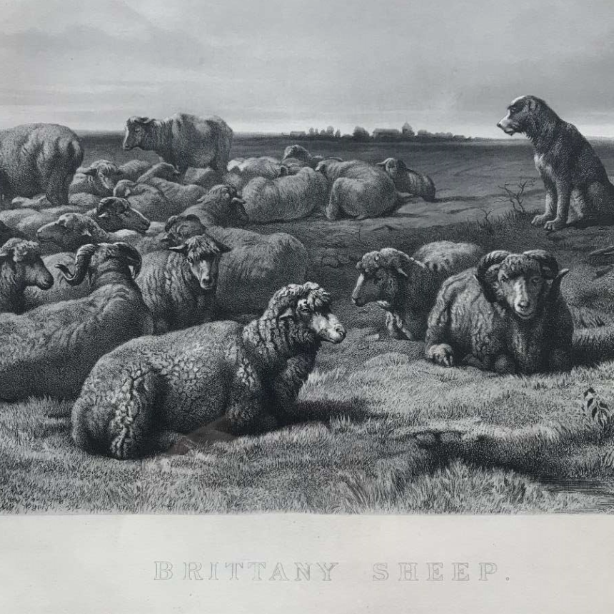 Antique & Reclaimed Pair Rosa Bonheur Engravings- SalvoWEB UK