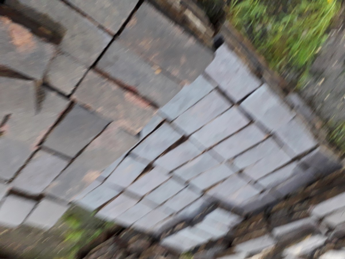 Antique & Reclaimed Staffordshire blue floor bricks- SalvoWEB UK