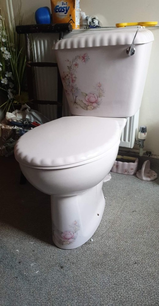 Wanted Alerts Balterley Shell toilet with Satsuma design- SalvoWEB UK