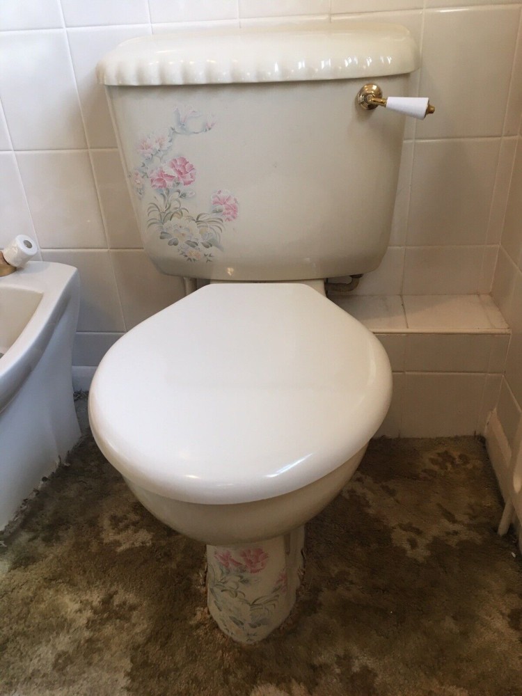 Wanted Alerts Balterley Carina Shell toilet with Satsuma or any floral ...