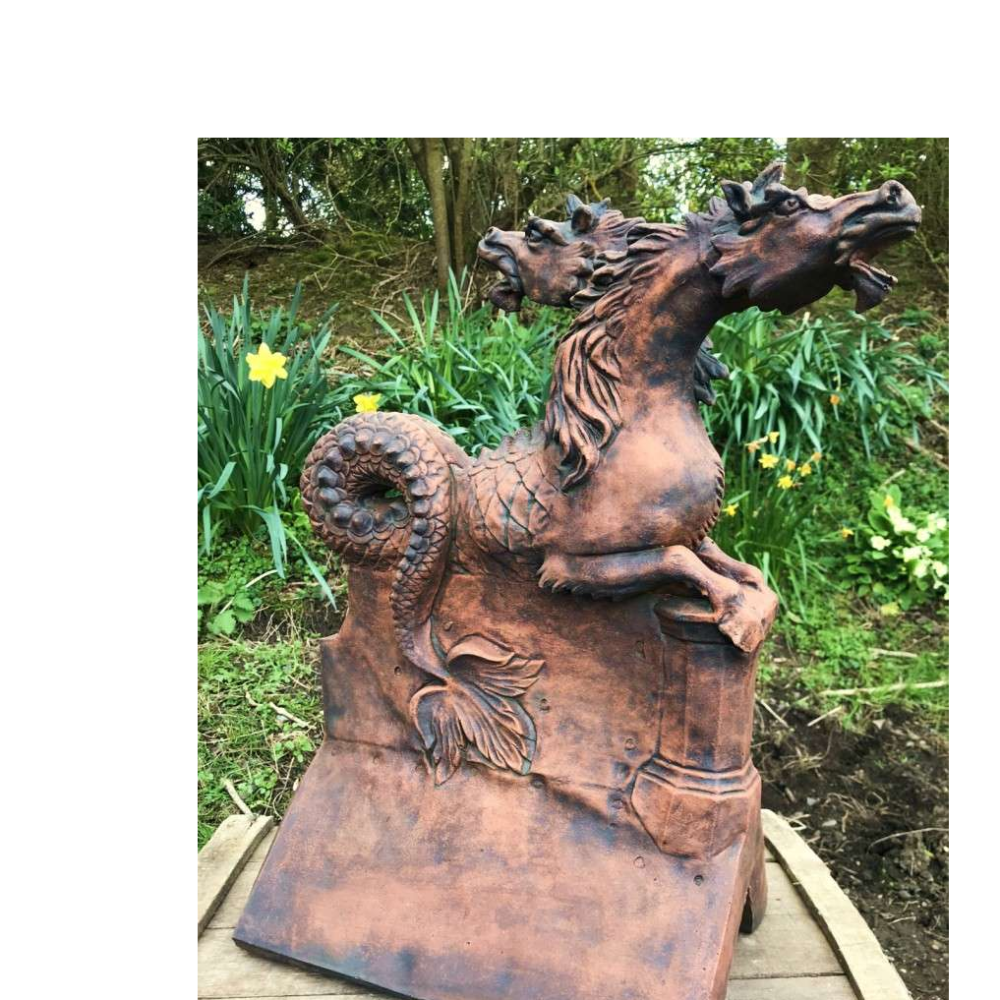 Two Headed Horse