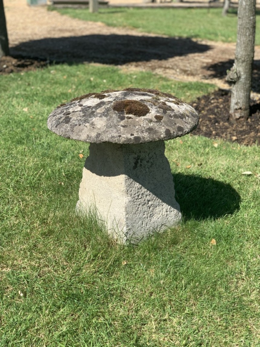 Antique & Reclaimed Staddle stones - SalvoWEB UK