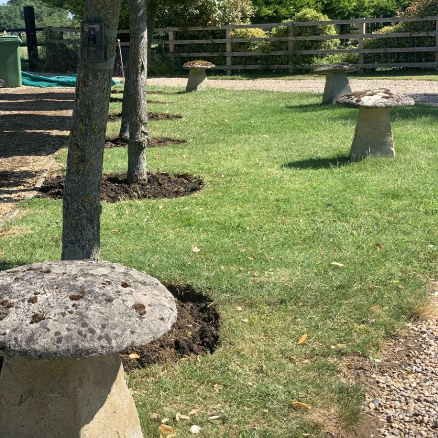 Antique & Reclaimed Staddle stones - SalvoWEB UK