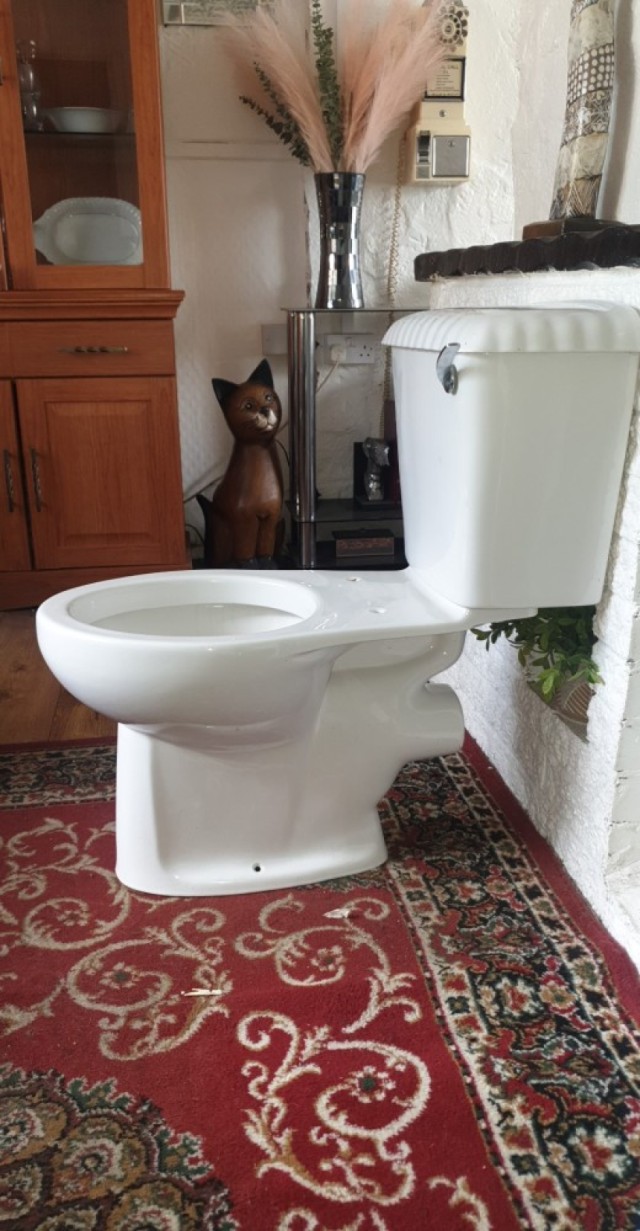 Wanted Alerts Balterley Shell MK2 close coupled toilet with a 1993 date ...