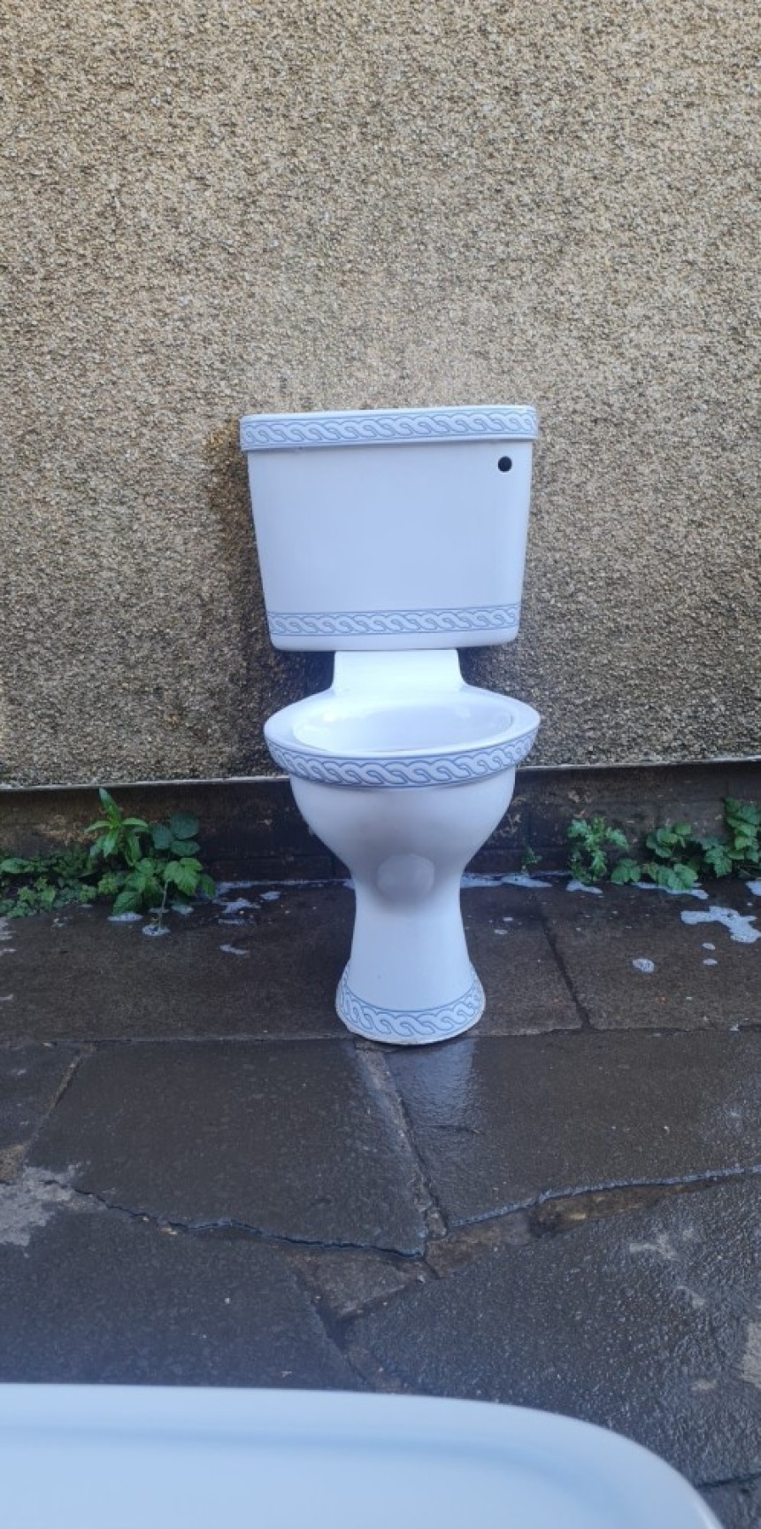 Wanted Alerts Qualcast/Qualitas Limoges blue rope toilet, bidet and ...