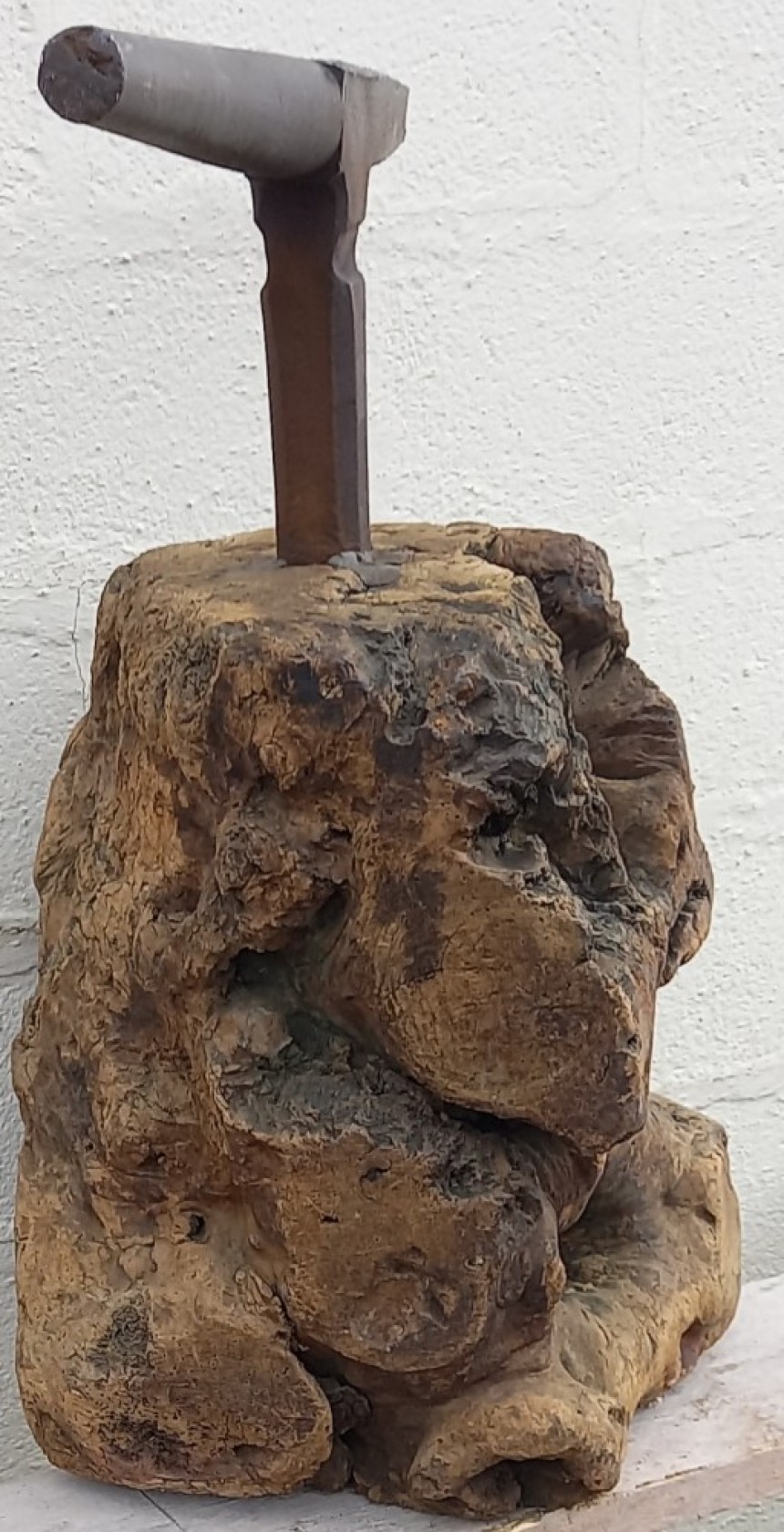 Antique & Reclaimed Antique stake anvil in old tree stump- SalvoWEB UK