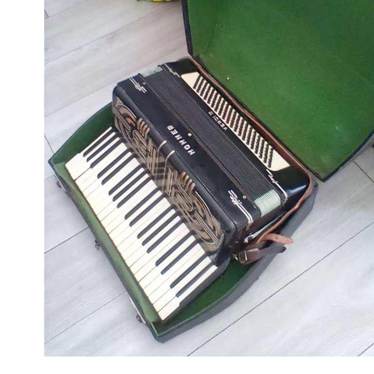 Antique & Reclaimed Musical Instrument Accordion- SalvoWEB UK